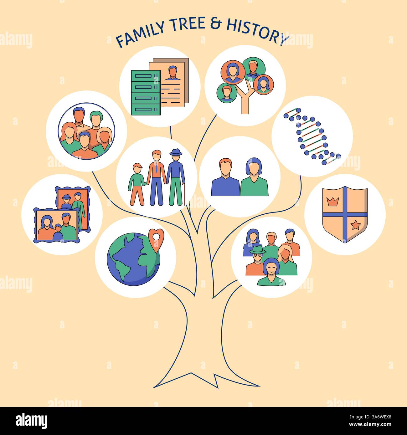Family tree and history poster. Vector illustration Stock Vector Image ...