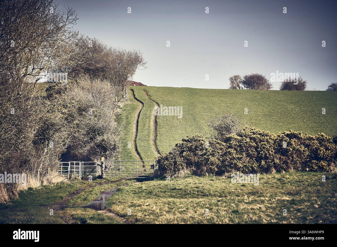 Furrows leading lines hi-res stock photography and images - Alamy