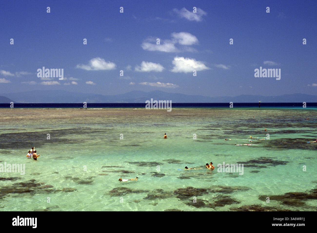 Nov. 11, 2014 - Australia - Snorkling at Green Island National Park ...
