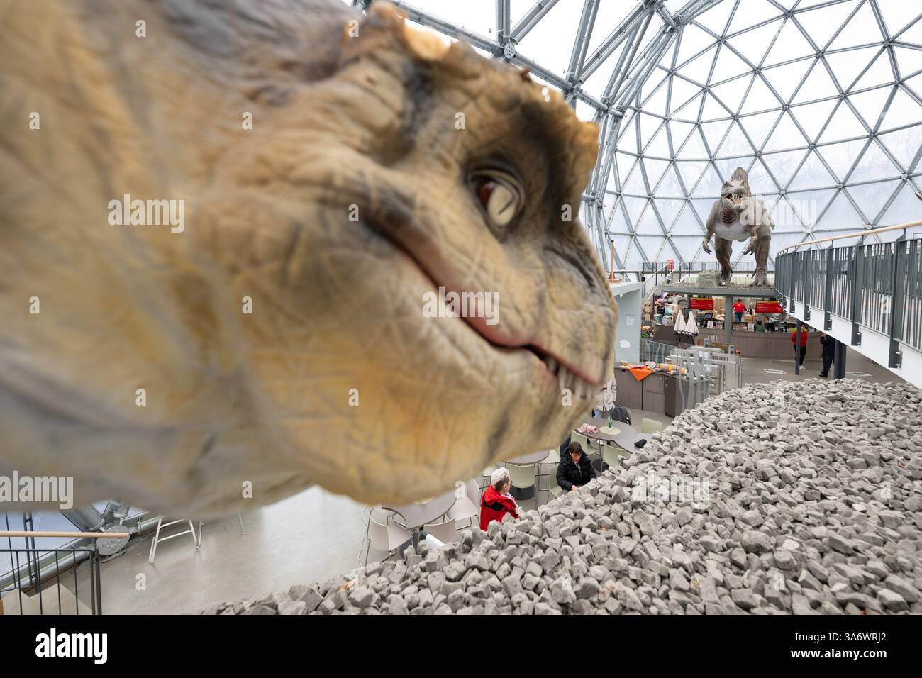 Kleinwelka, Germany. 26th Mar, 2025. View of the so-called Mitoseum in ...
