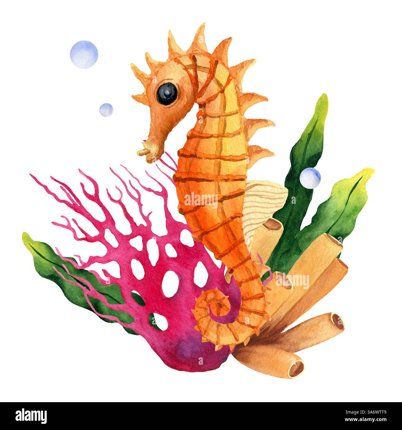 Seahorse with corals and seaweed. Hand drawn watercolor illustration ...