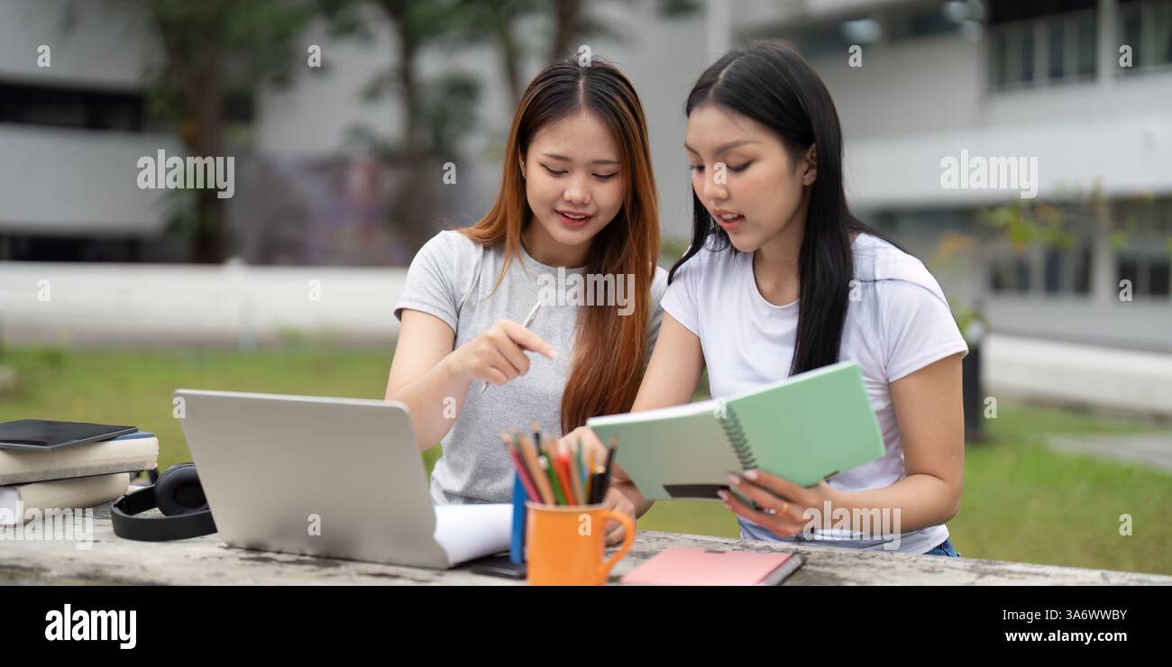 Collaboration and Learning. Two friends studying together and sharing ...