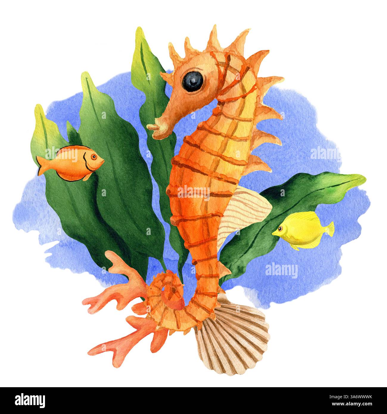 Seahorse with corals, shell, fishes and seaweed. Hand drawn watercolor ...