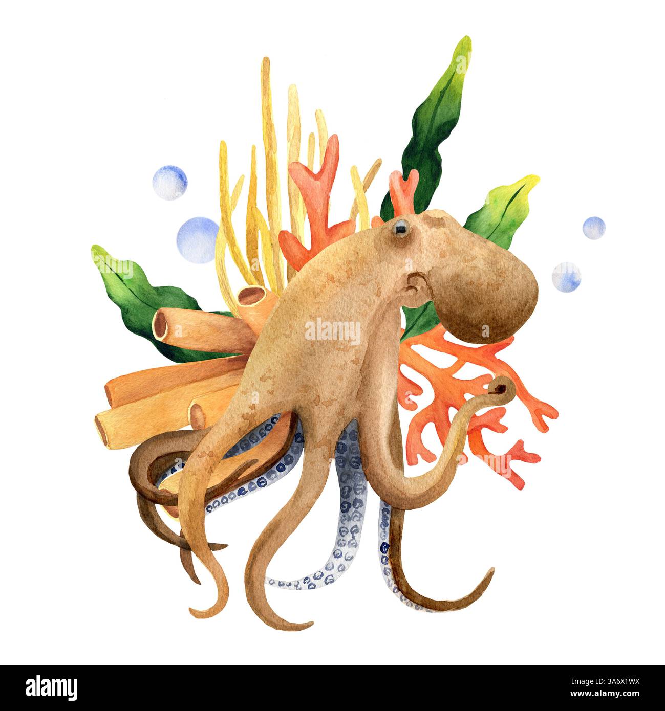 Octopus with corals and seaweed. Hand drawn watercolor illustration ...