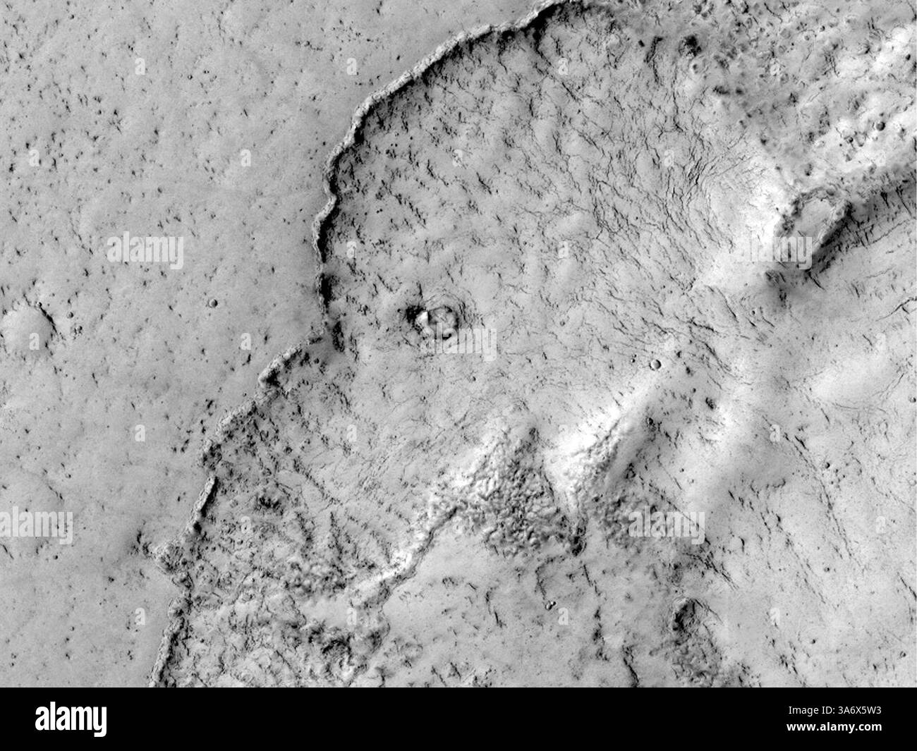 Spotted cover Black and White Stock Photos & Images - Alamy