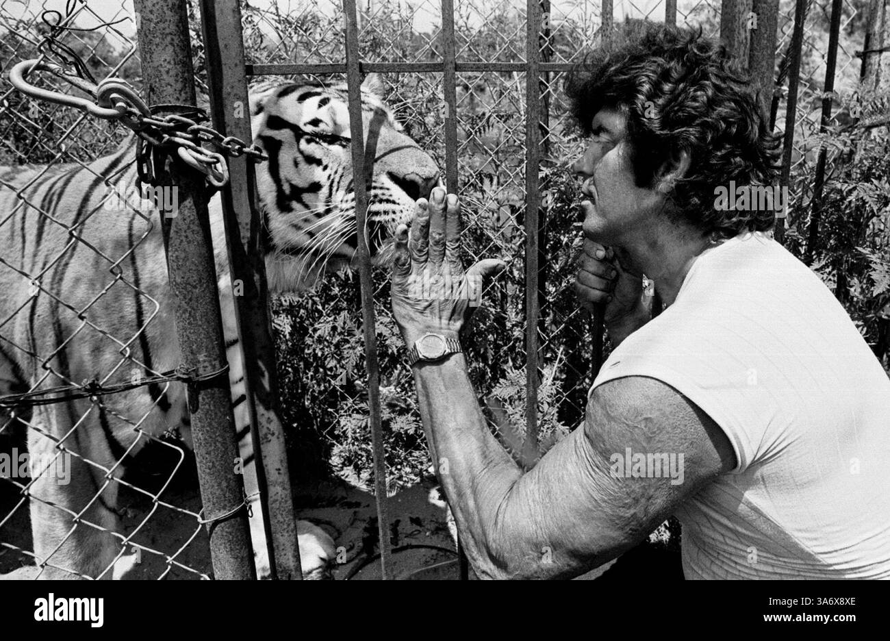 Steve sipek actor in tarzan hi-res stock photography and images - Alamy