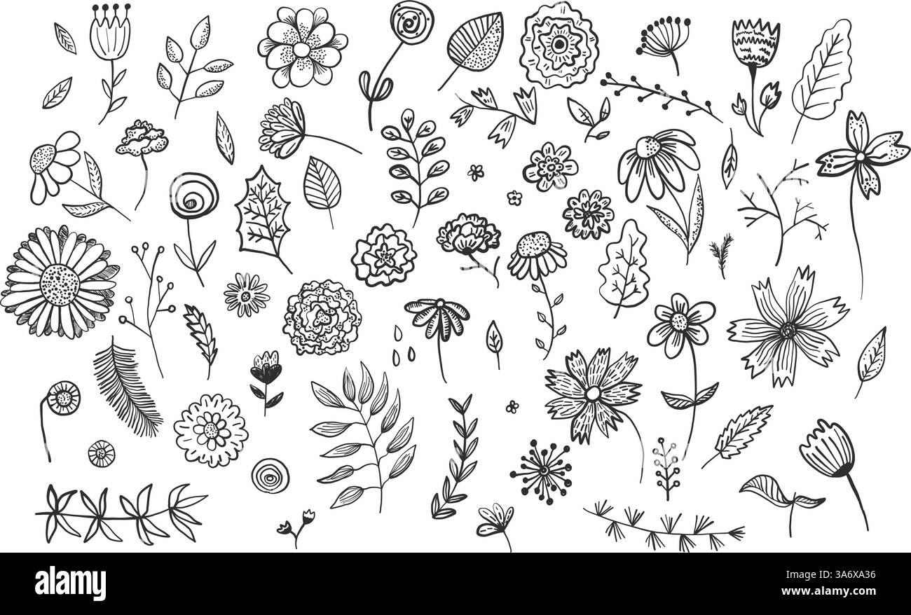 Flowers and herbs wreath Black and White Stock Photos & Images - Alamy