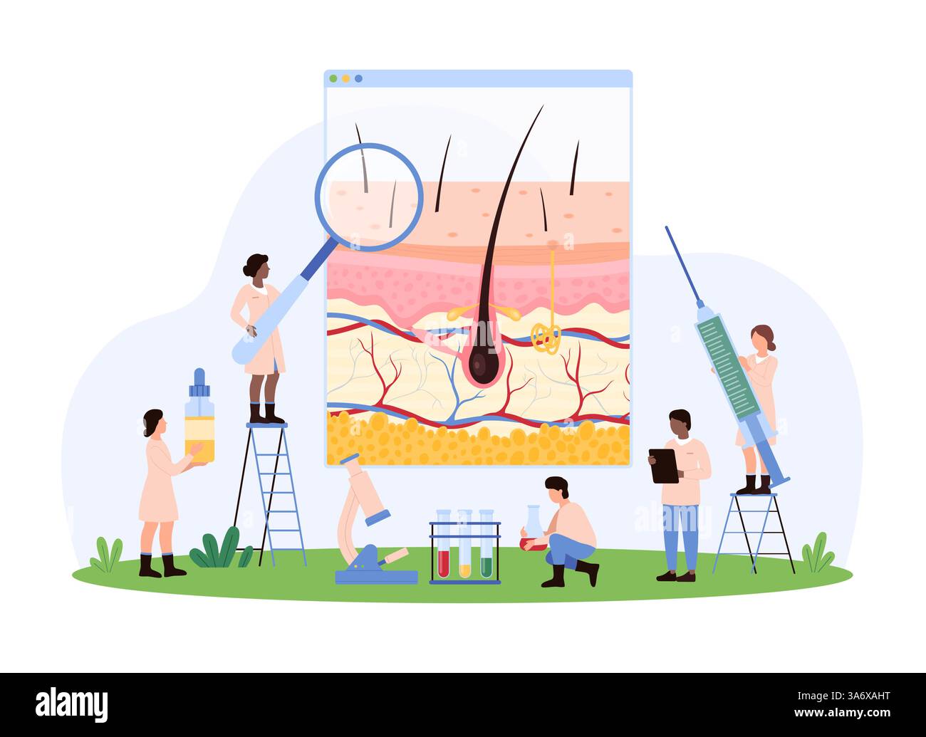 Diagnosis and treatment of scalp diseases and hair loss, dermatology ...