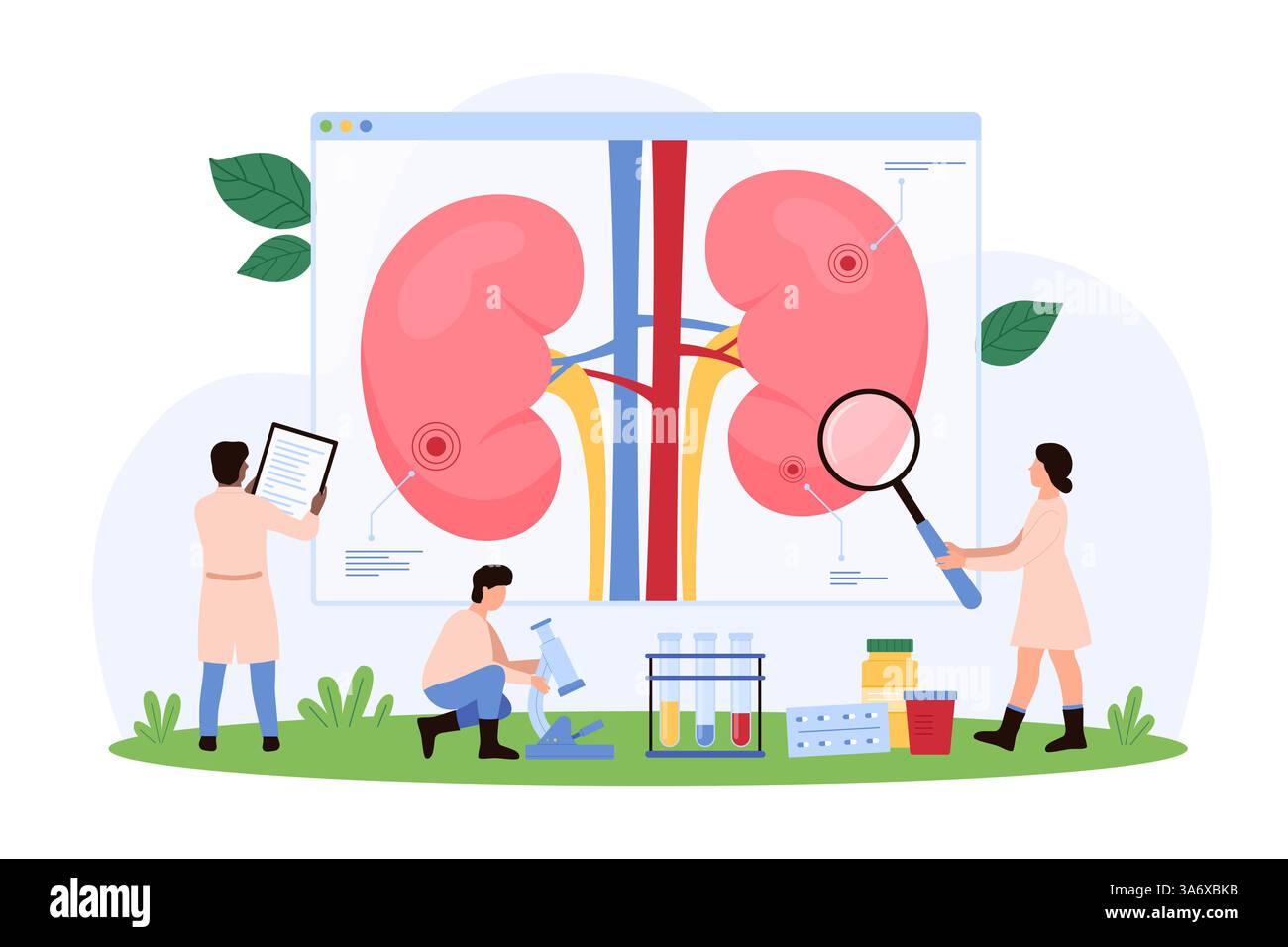 Vector illustration of tiny people examining kidney health and functions, focusing on medical ...