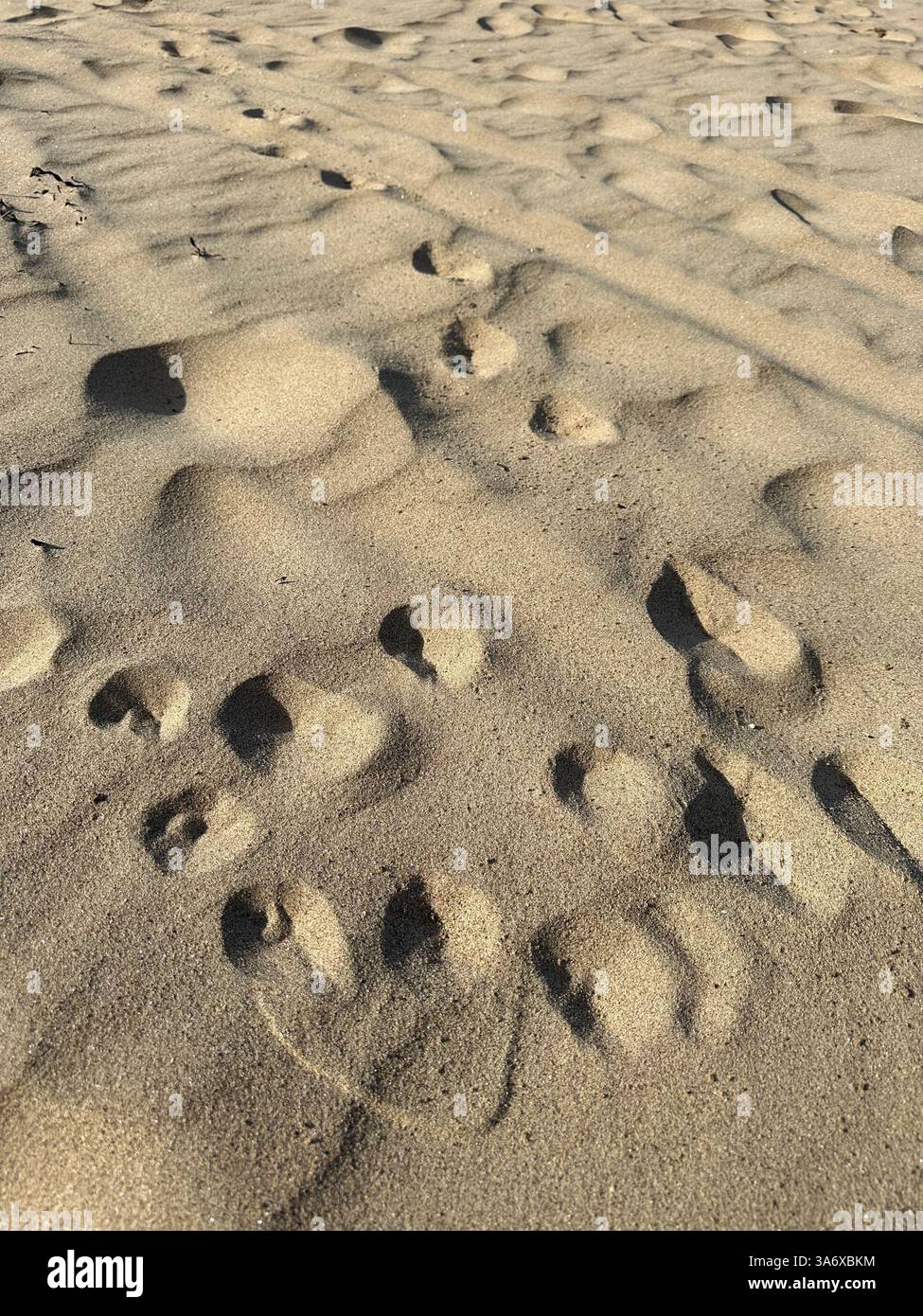 Small wavy ridges of sand hi-res stock photography and images - Alamy