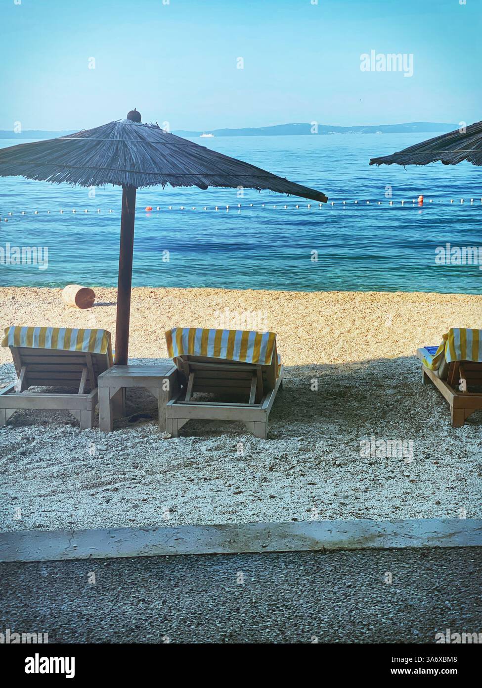 Tall palm trees cast hi-res stock photography and images - Alamy