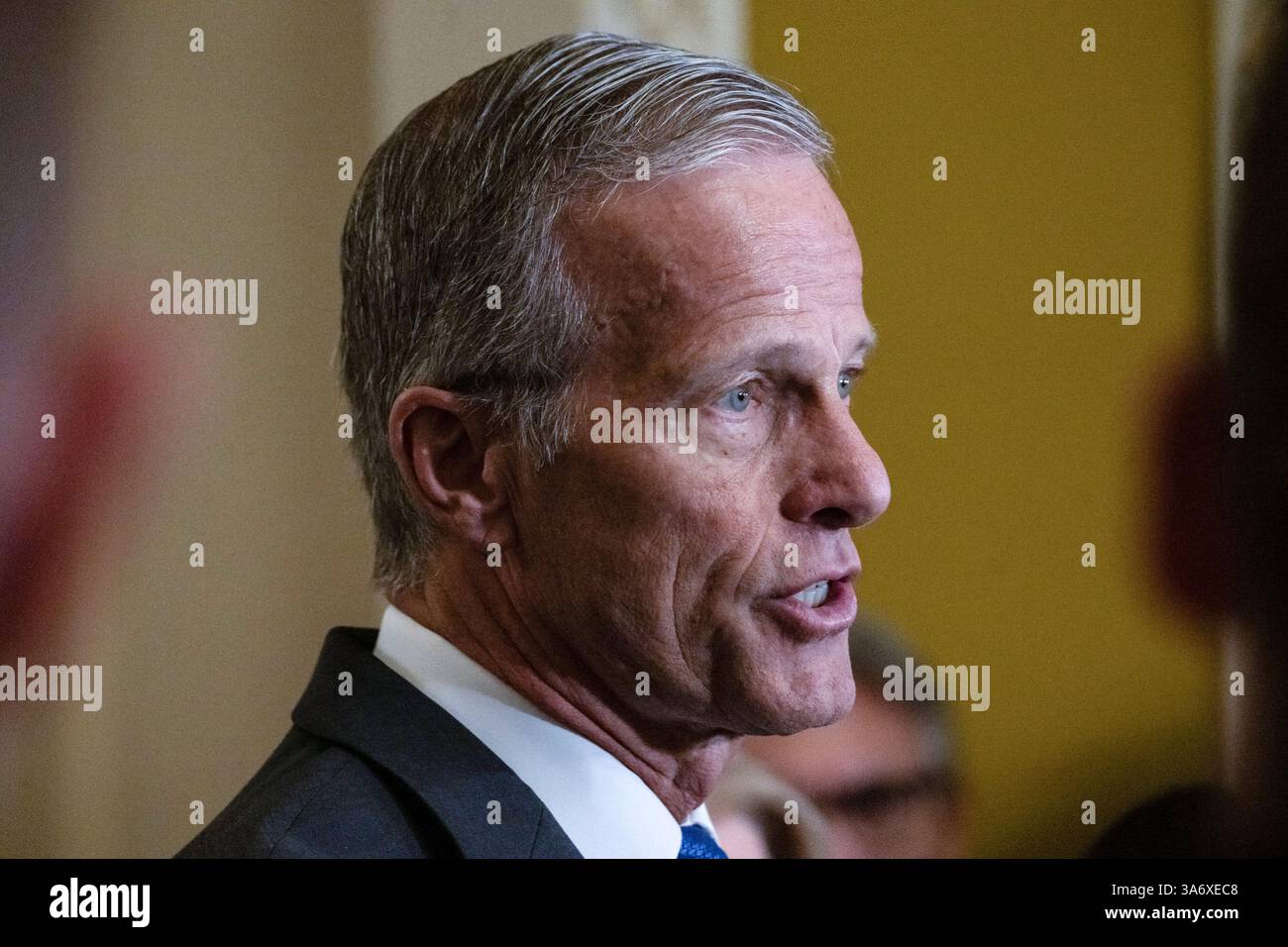 Washington, Vereinigte Staaten. 25th Mar, 2025. United States Senate ...