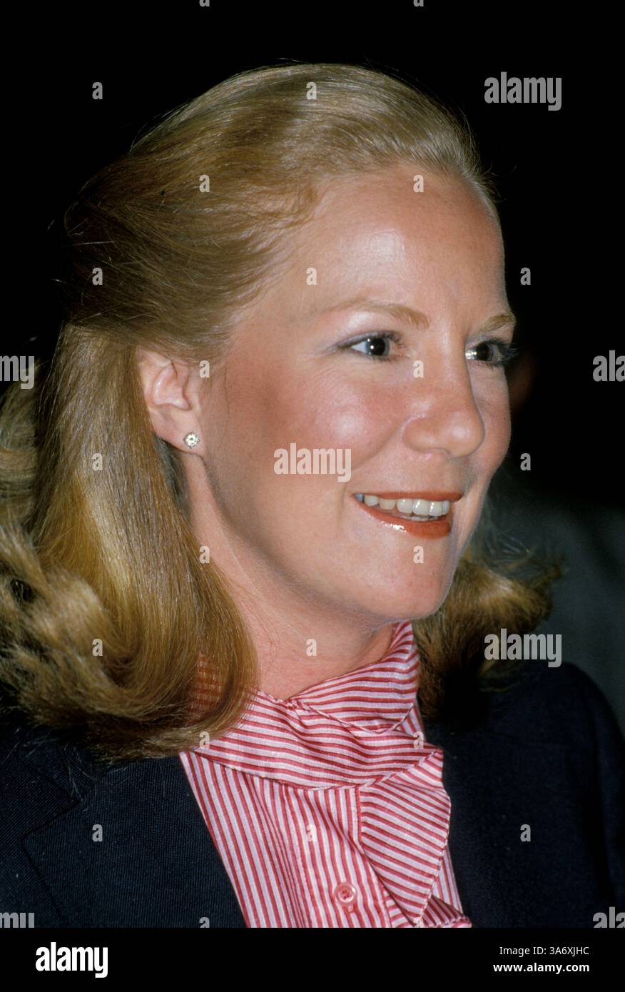 Apr 20, 1982; Boston, MA, USA; MARY CUNNINGHAM, founder of The Nurting ...