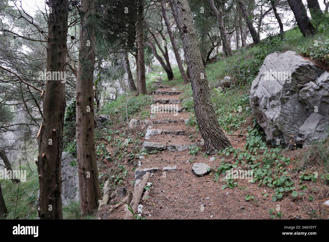 Il centro del sentiero hi-res stock photography and images - Alamy