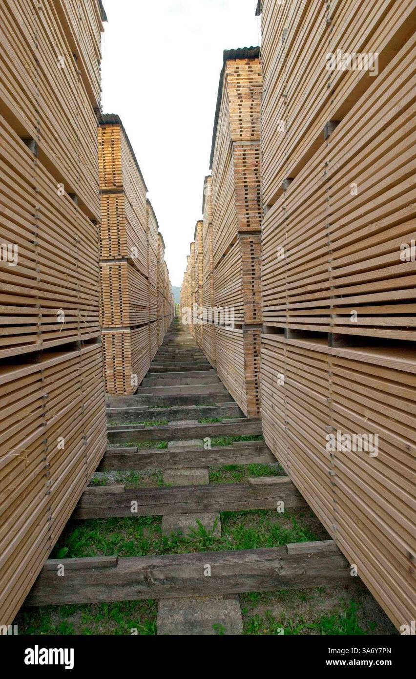 wood and lumber in the lumber yard in the wood industry lumber yard in ...