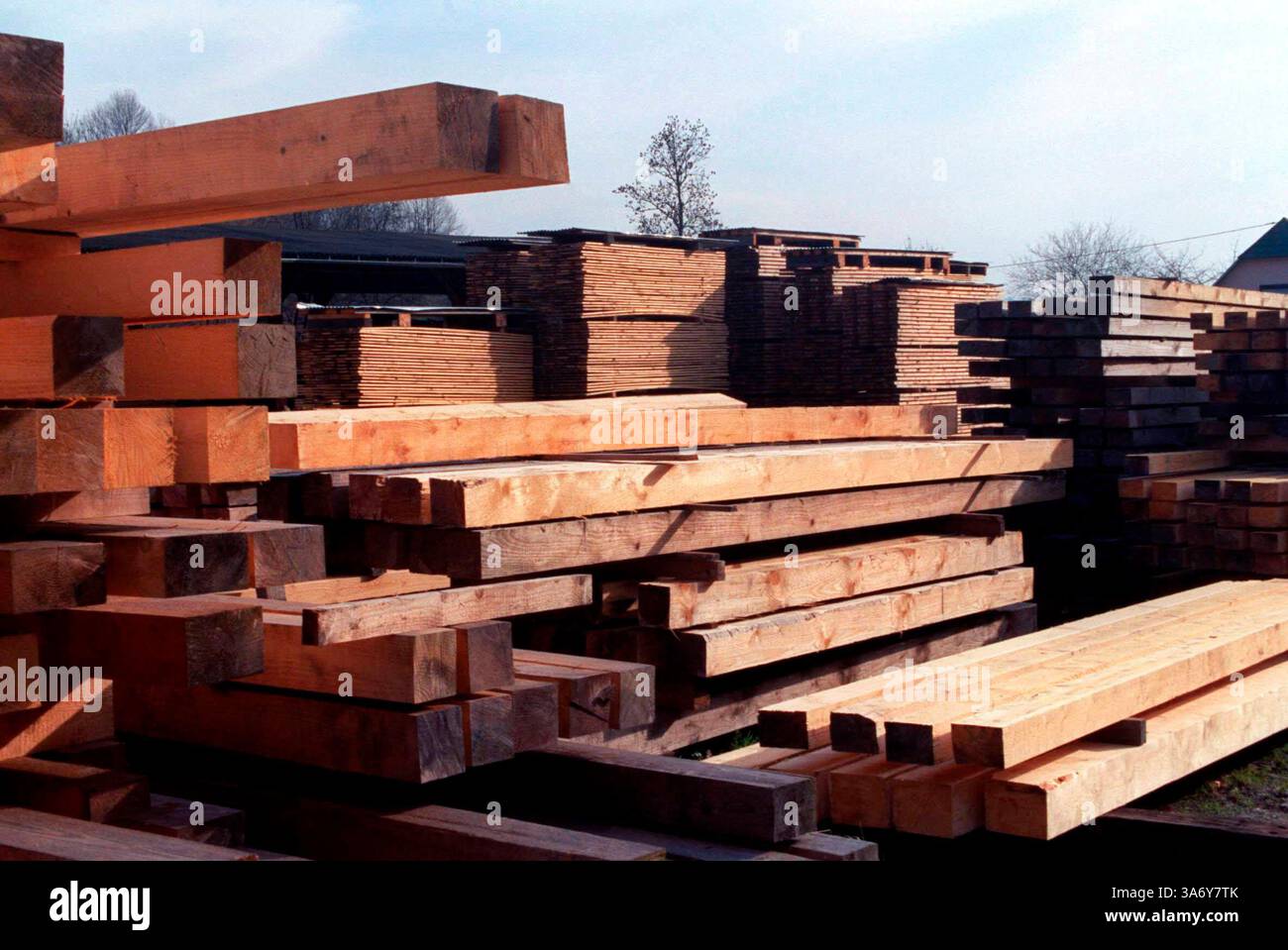 wood and lumber in the lumber yard in the wood industry lumber yard in ...