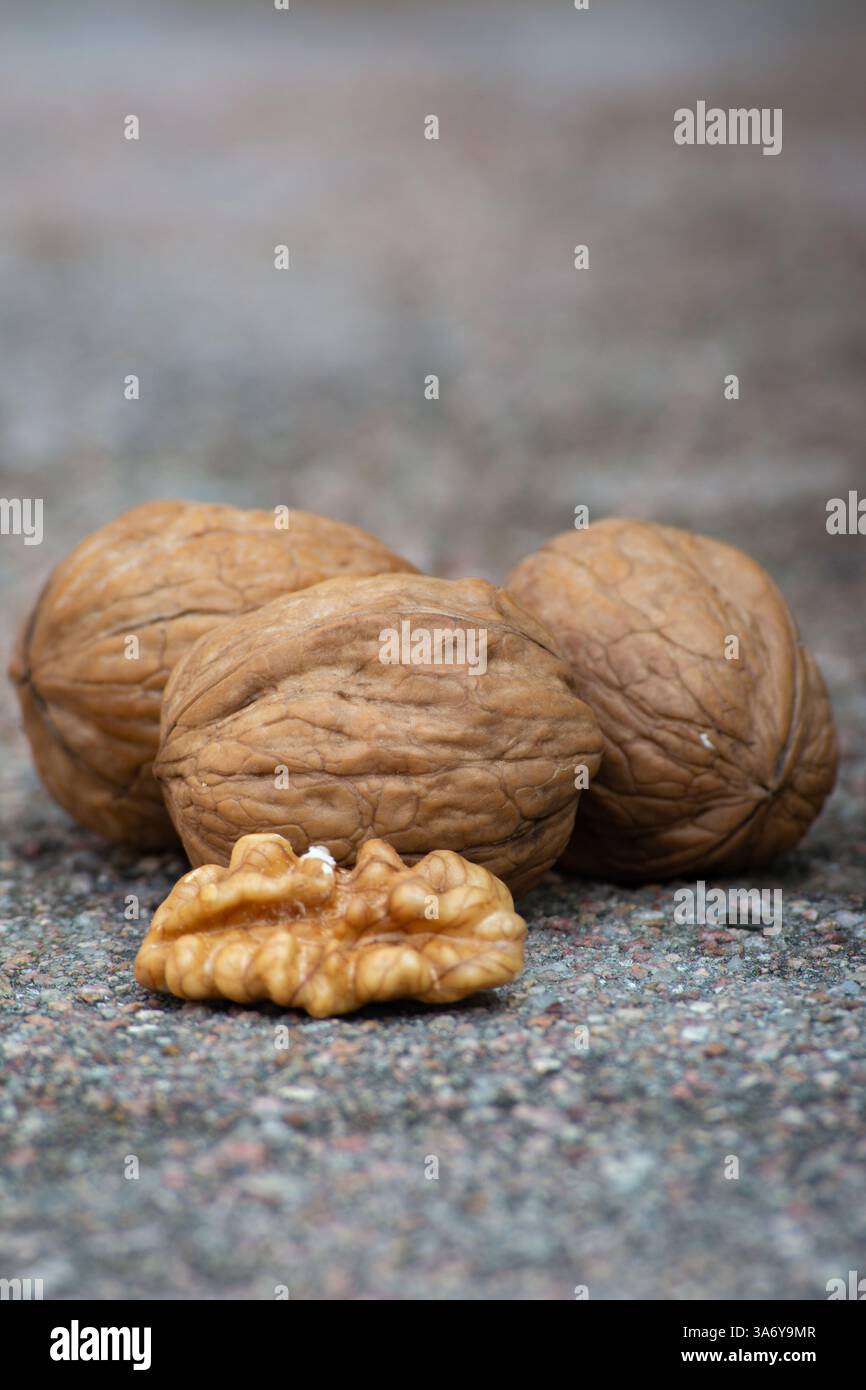 Whole walnut kernel shell hi-res stock photography and images - Alamy