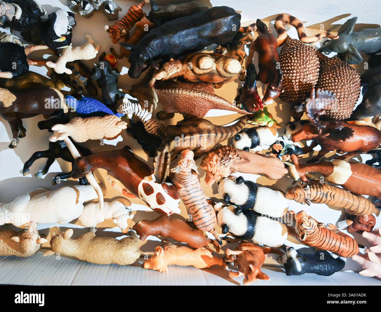 Zoo animals or animals that live in a zoo not in the wild zoo animals ...