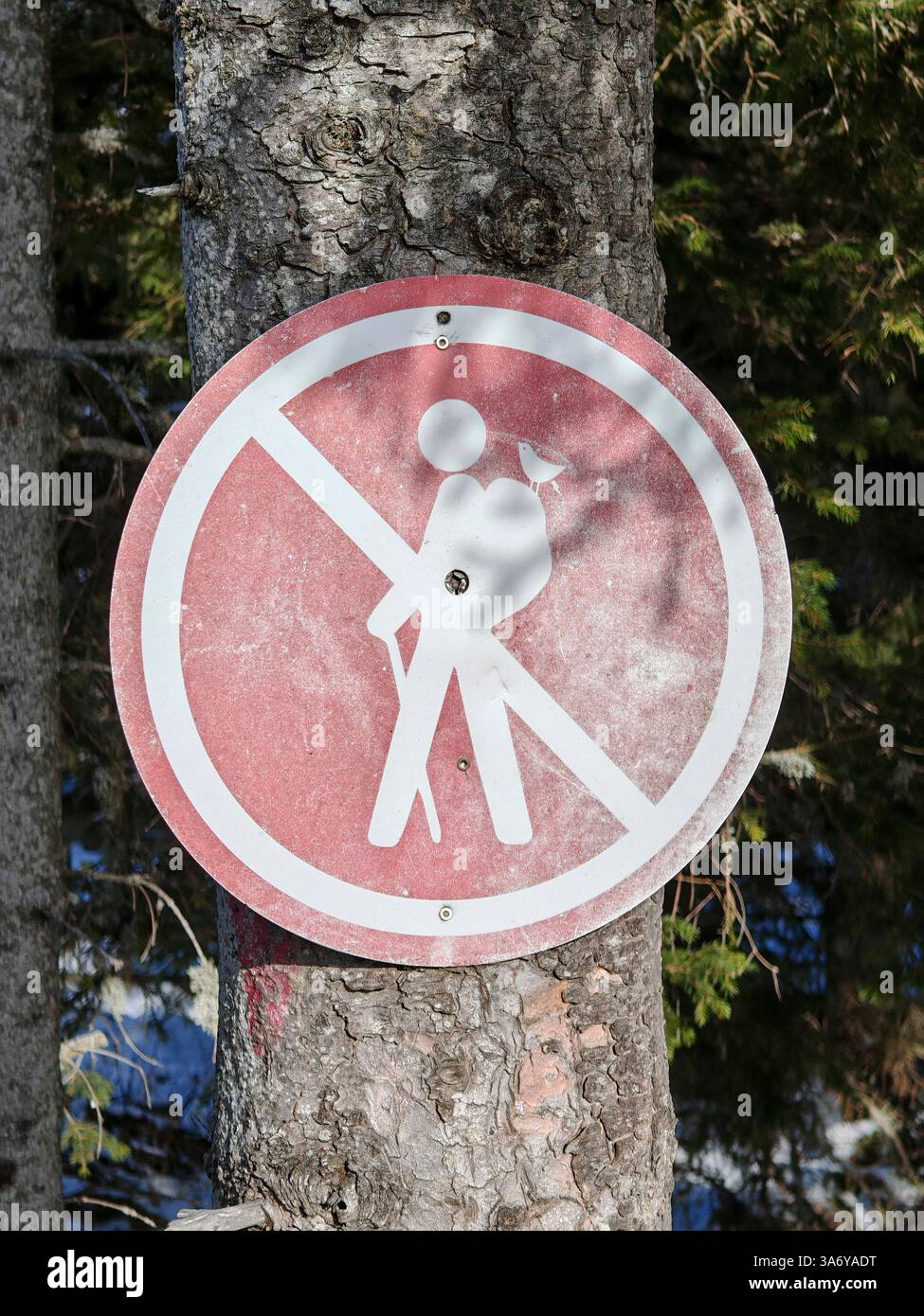 a prohibition of hiking sign, hiking ban in the mountains a prohibition ...