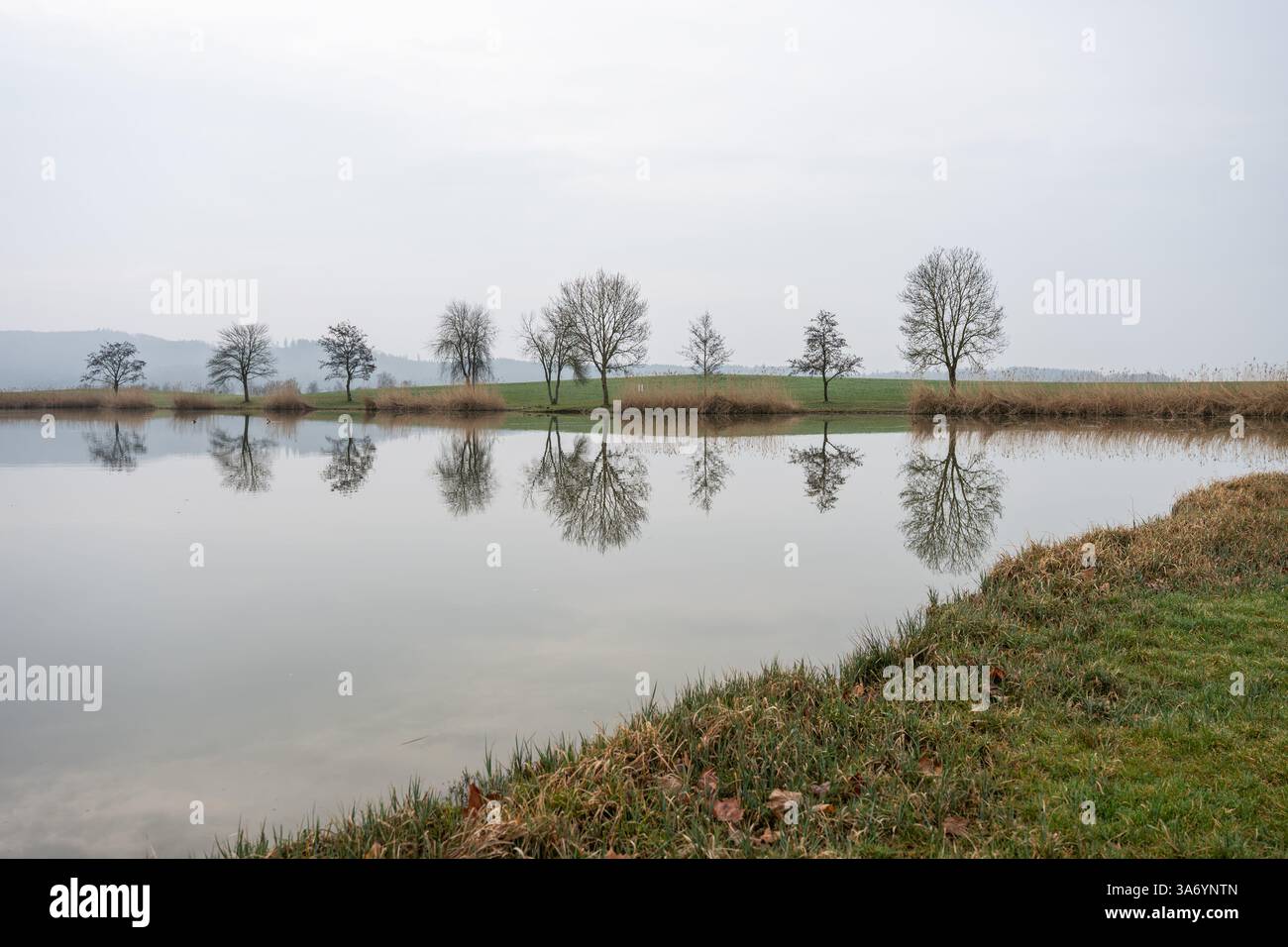 26 March 2025, Baden-Württemberg, Rottweil: Trees are reflected in the ...