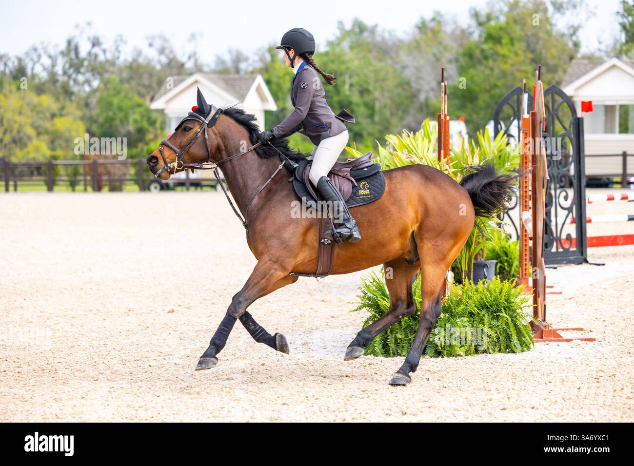 Girl riding horse jockey hi-res stock photography and images - Alamy