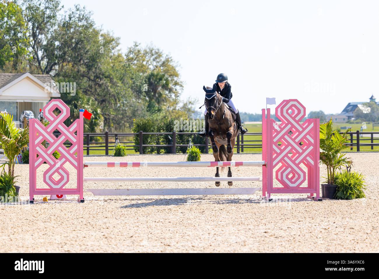 Horse jumping over fence. Showjumping equestrian jockey sportsman Stock ...