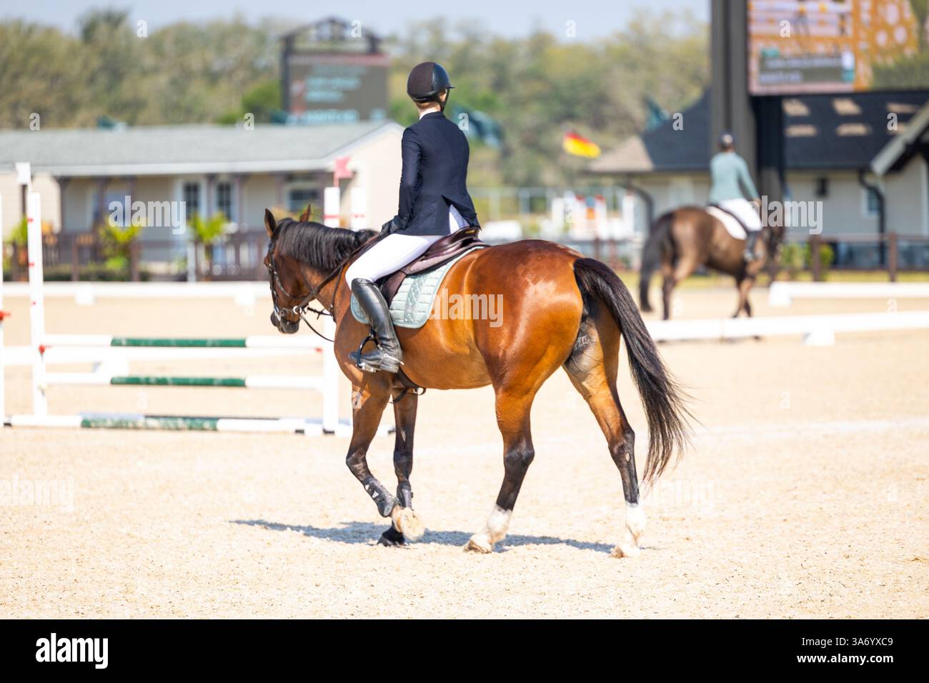 Woman riding beautiful horse. Equestrian sportsman jockey Stock Photo ...