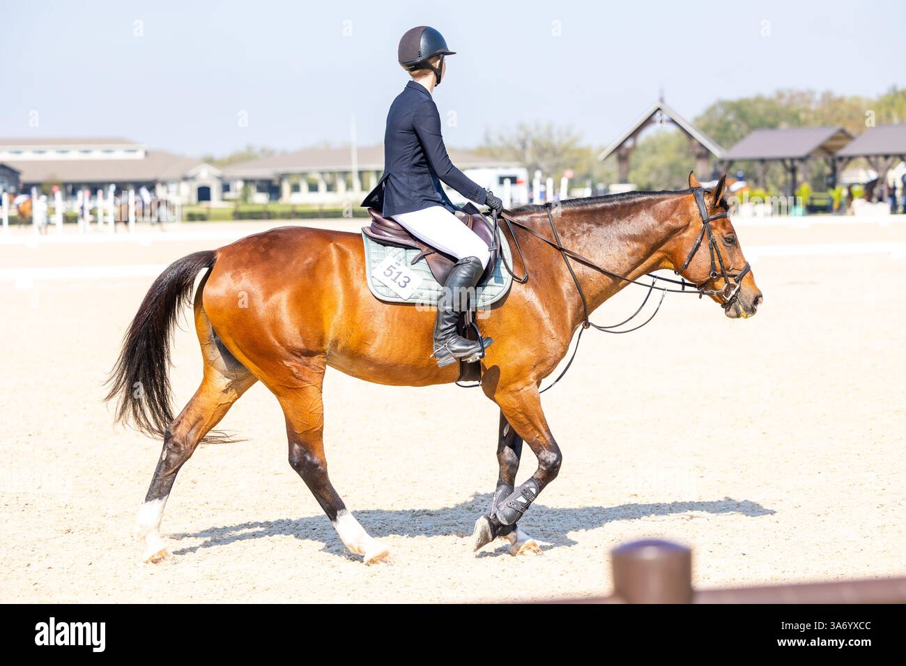 Woman riding beautiful horse. Equestrian sportsman jockey Stock Photo ...