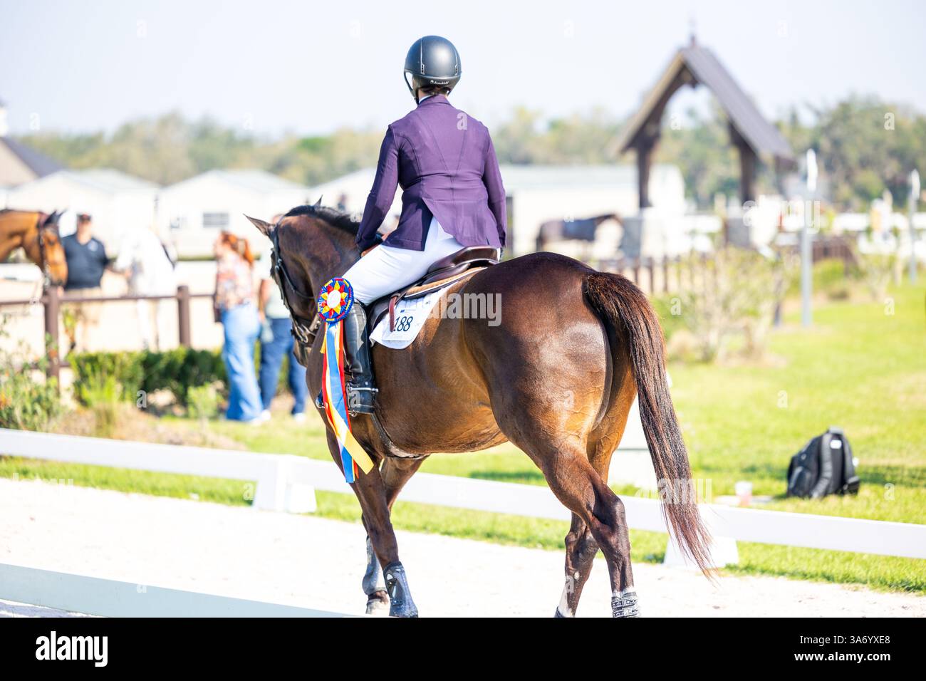 Beautiful girl horse walking hi-res stock photography and images - Alamy
