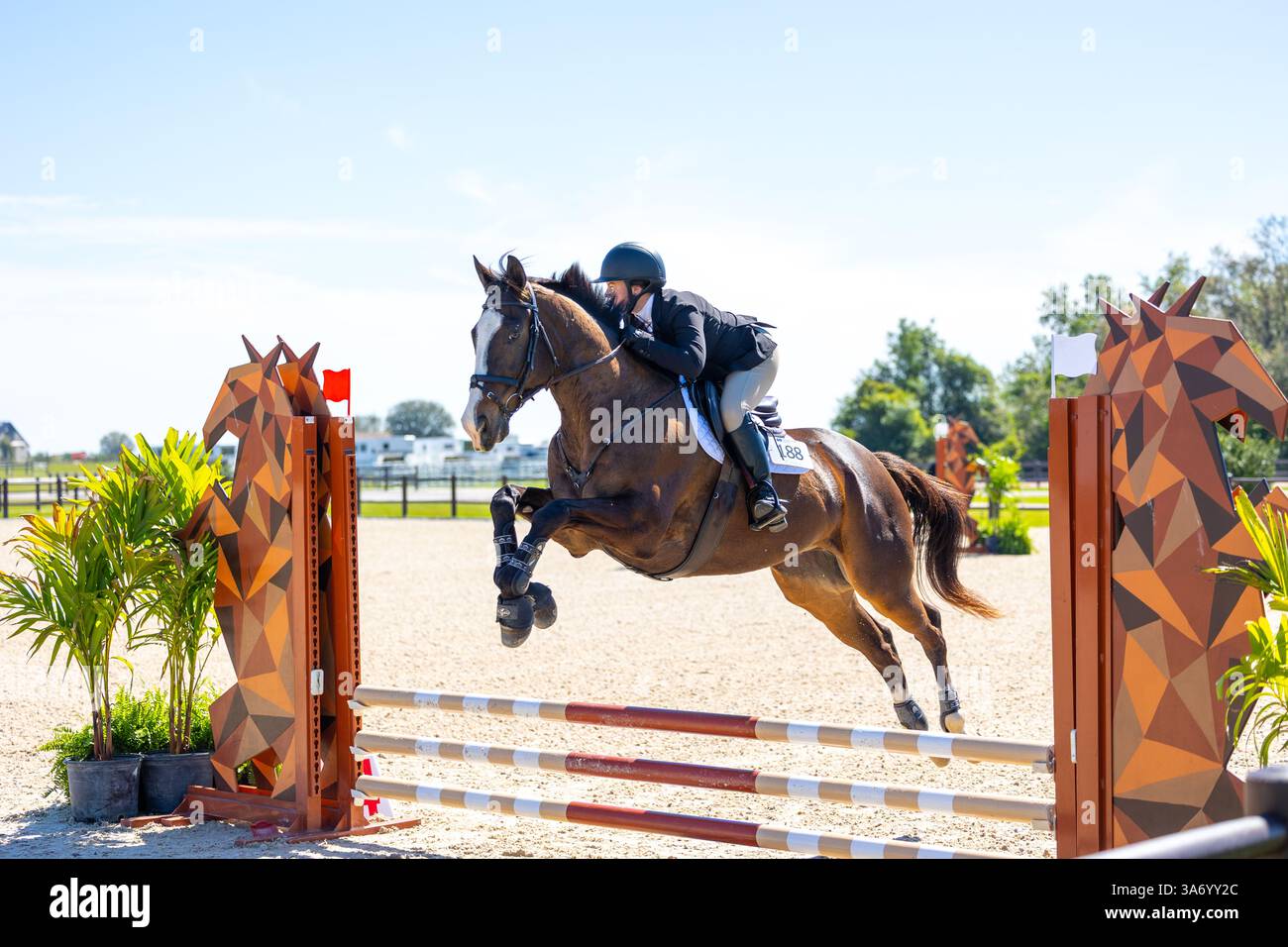 Horse jumping over fence. Showjumping equestrian jockey sportsman Stock ...
