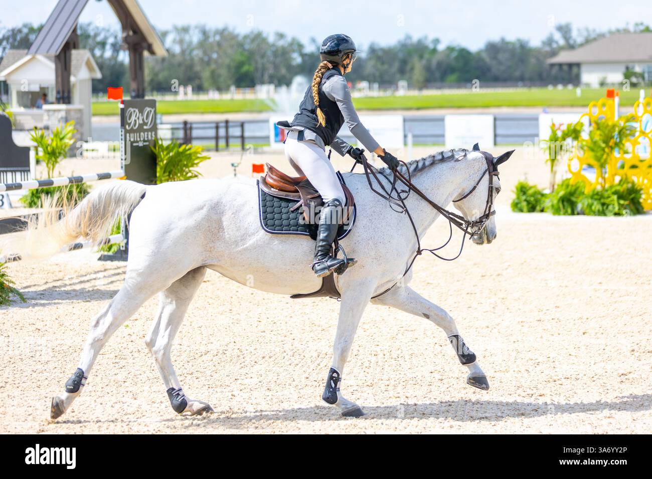 A majestic white horse cantering Stock Photo - Alamy