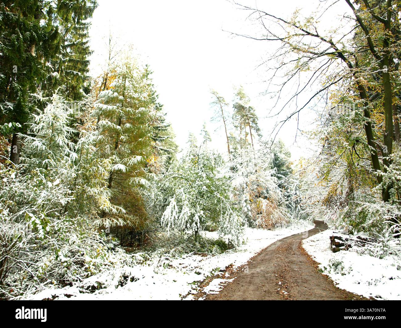 An early snow in October Stock Photo - Alamy