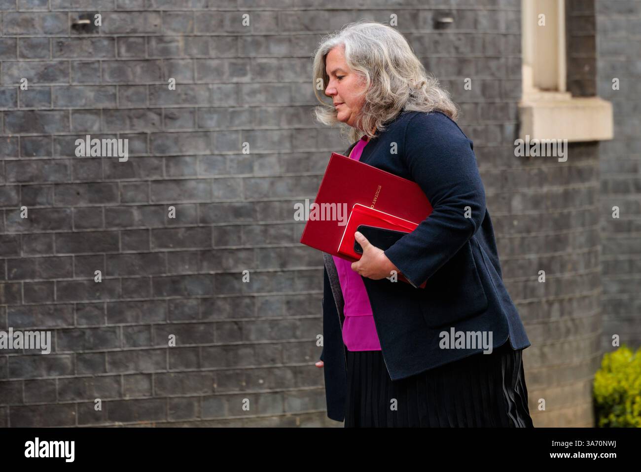 Downing Street, London, UK. 26th March 2025. Heidi Alexander, Transport ...