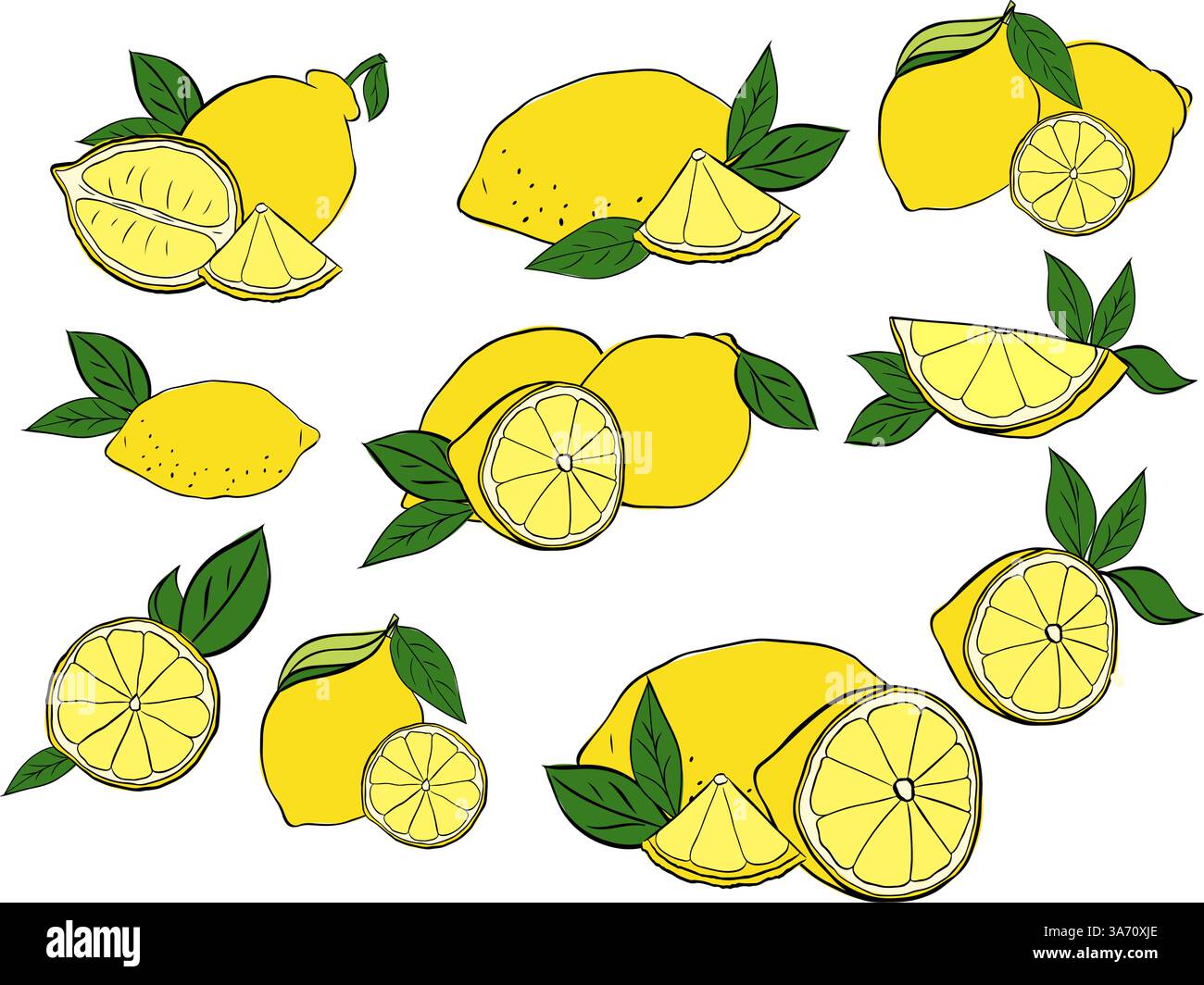 Lemon with leaves composition set. Vector graphic line ink illustration ...