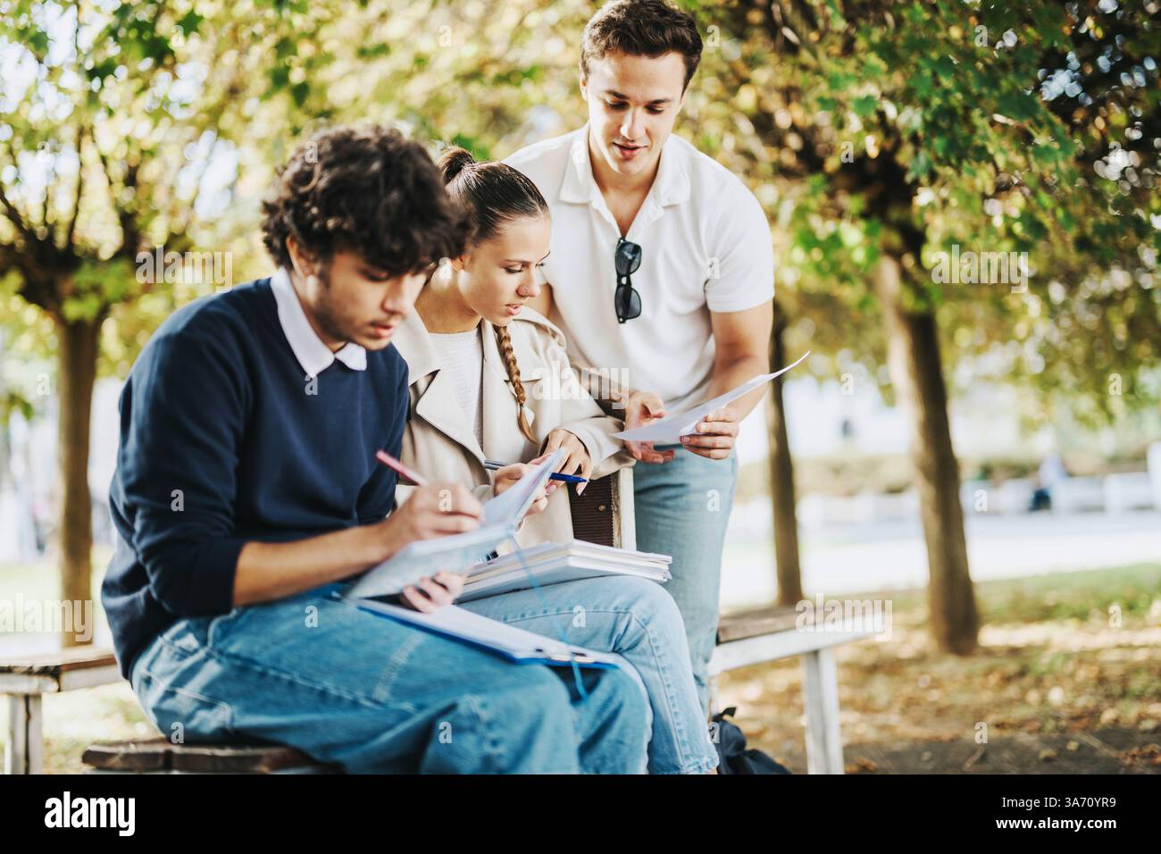 Students studying together in a park under green trees Stock Photo - Alamy