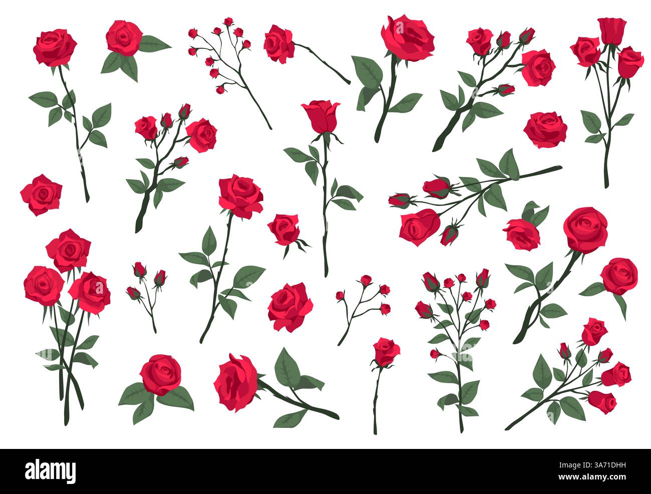Red rose buds leaves Stock Vector Images - Alamy
