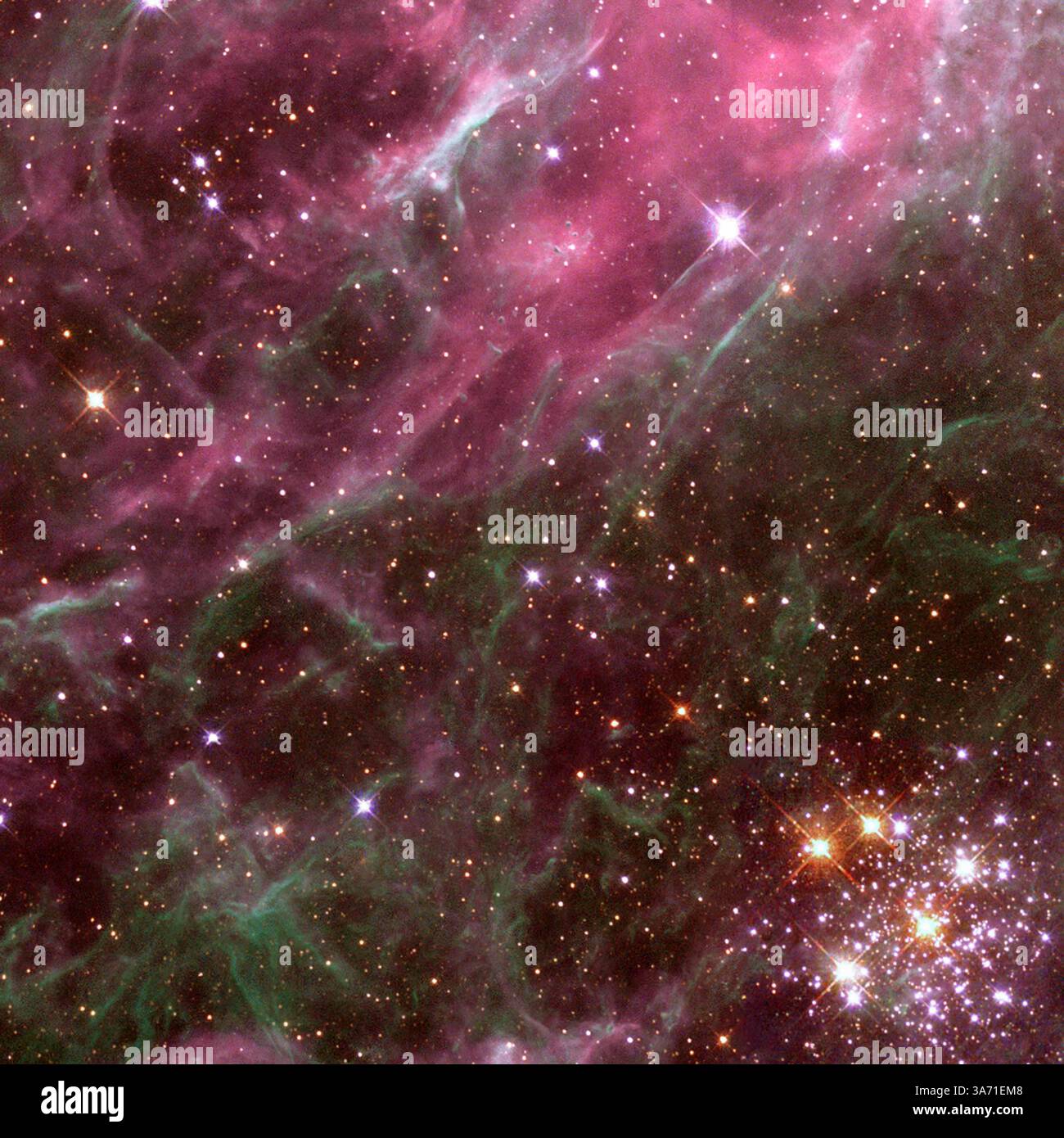 Rosa de las estrellas hi-res stock photography and images - Alamy