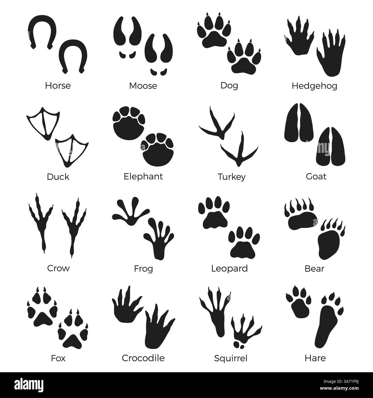 Black animals footprints. Paws prints silhouettes, reptiles, birds and ...