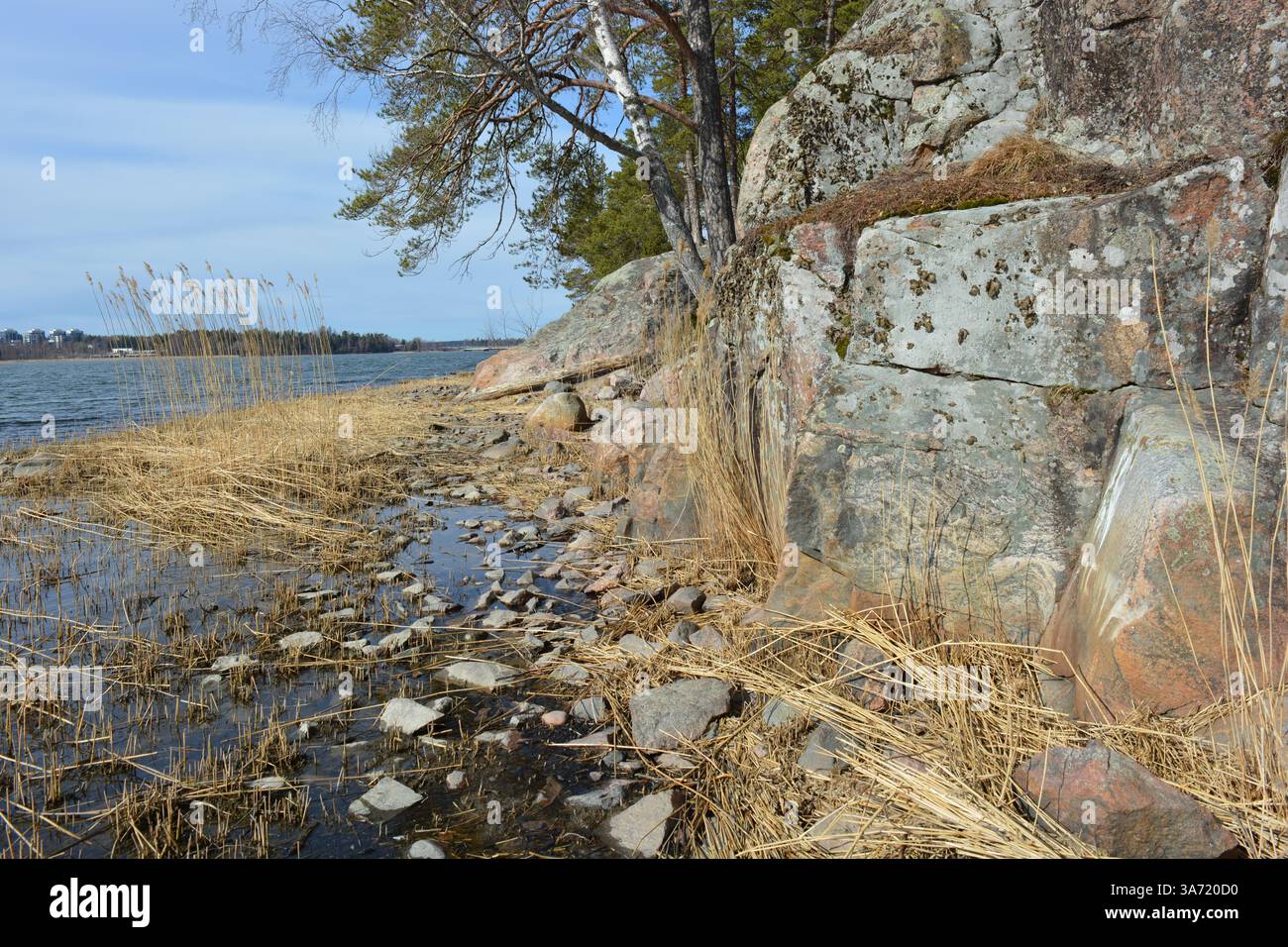 Green forest grows on the shore of a sandy bay with beautiful gentle ...