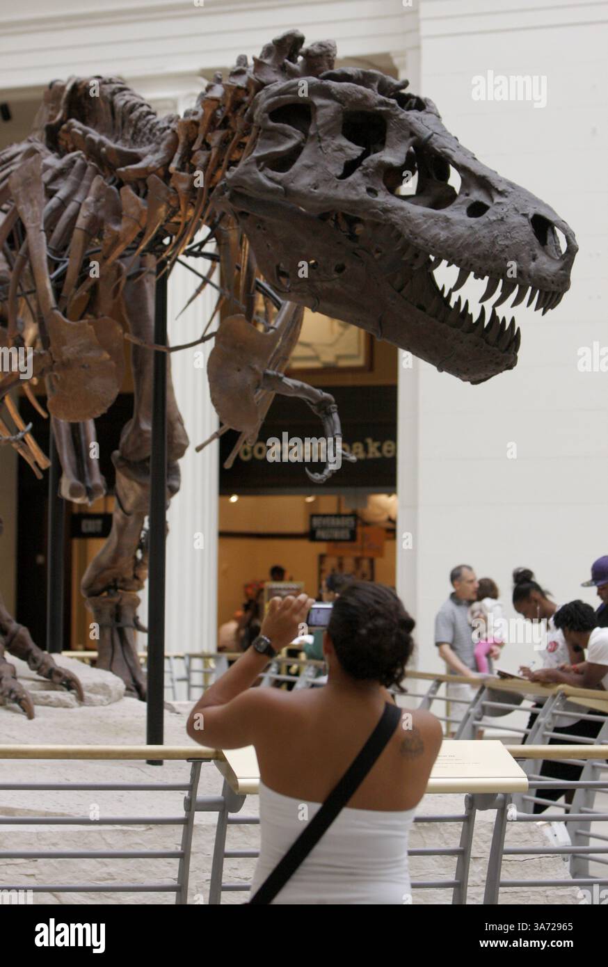 May 20, 2010 - Chicago, Illinois, USA - Chicagoâ€™s Field Museum of ...