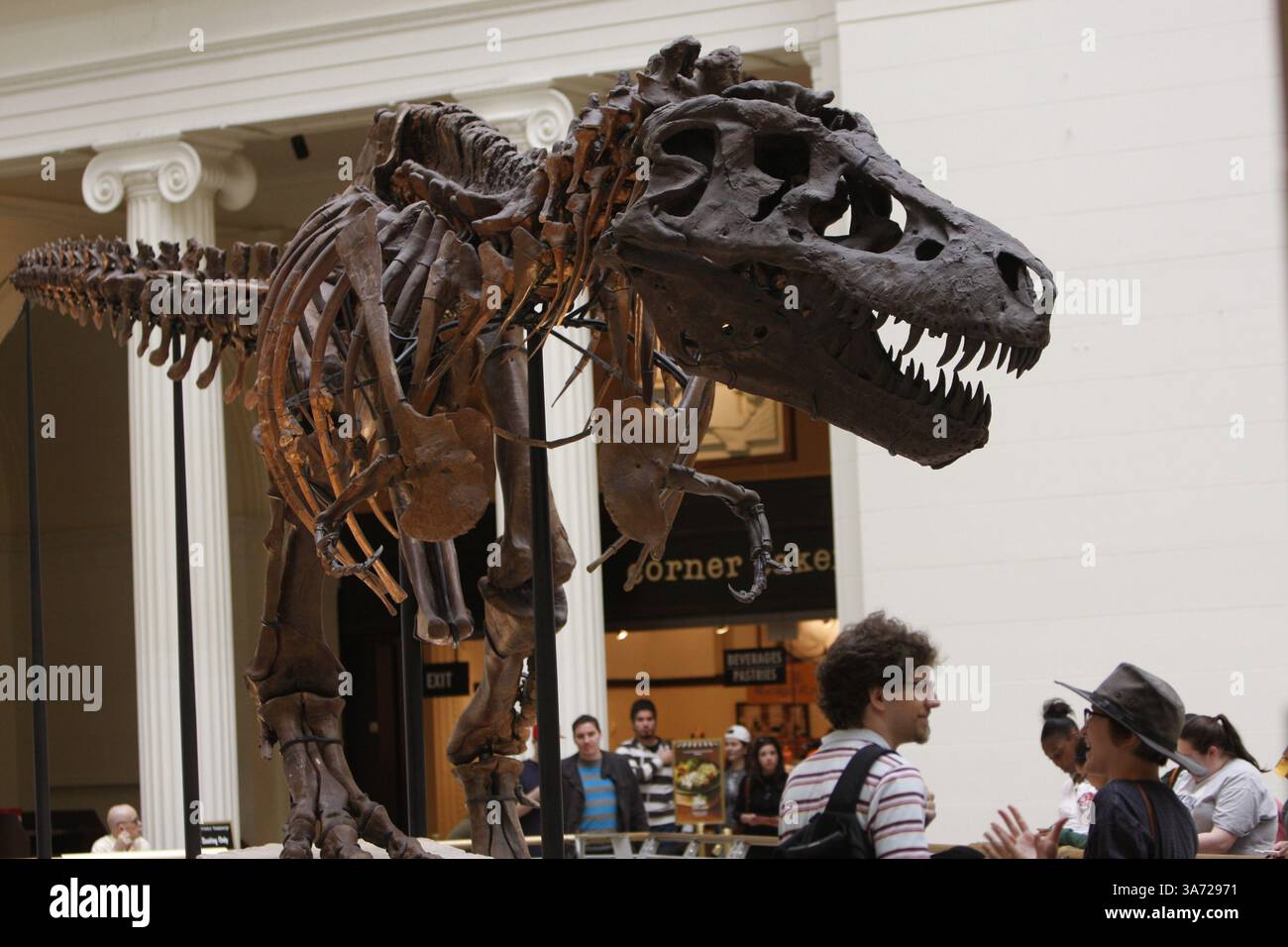 May 20, 2010 - Chicago, Illinois, USA - Chicagoâ€™s Field Museum of ...
