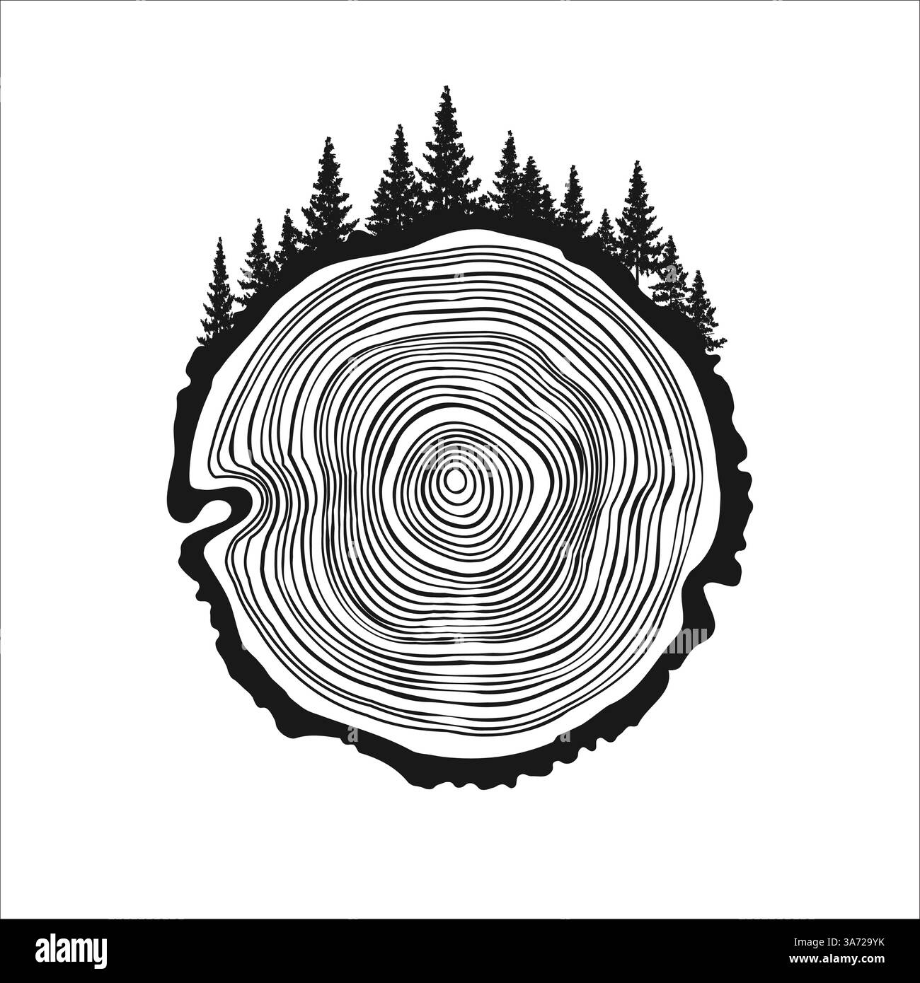 Round tree trunk cut with trees and forest. Sawn pine or oak slice ...