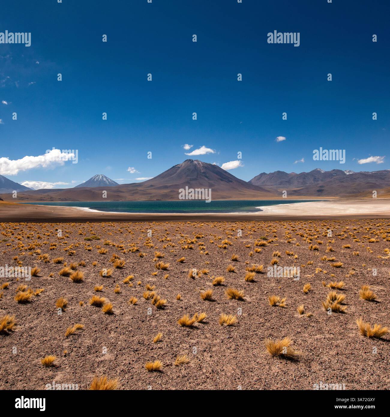 High altitude lake in Atacama Desert Stock Photo - Alamy
