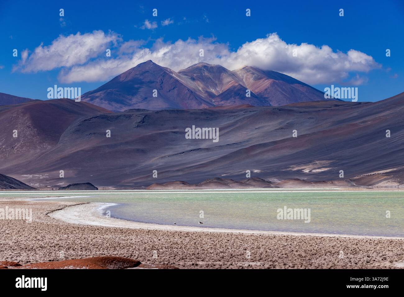 High altitude lake in Atacama Desert Stock Photo - Alamy