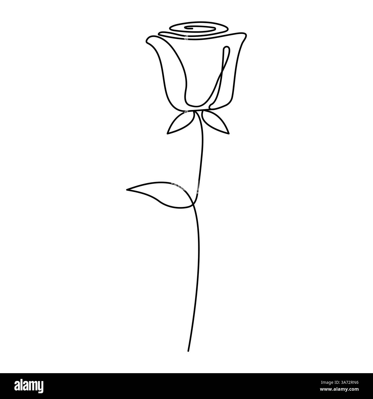 Rose flower continuous one line drawing of valentines day outline ...