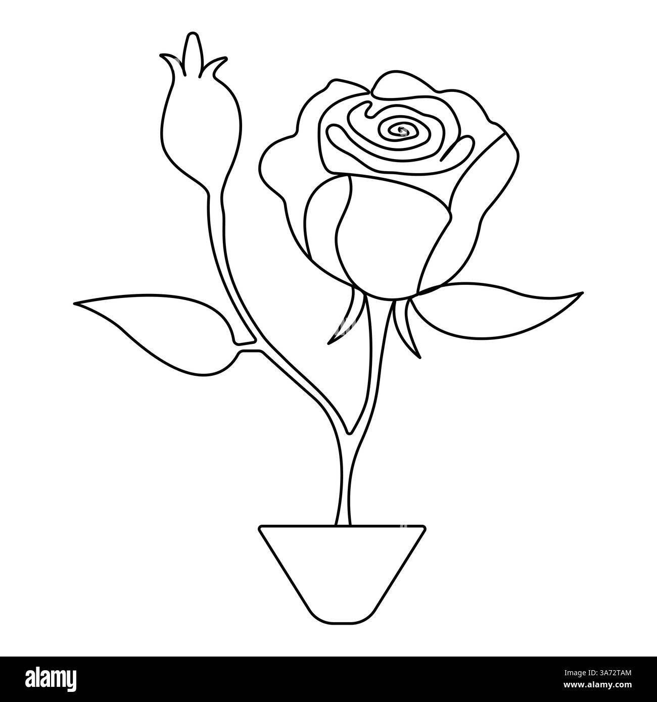 Rose flower continuous one line drawing of valentines day outline vector illustration Stock ...