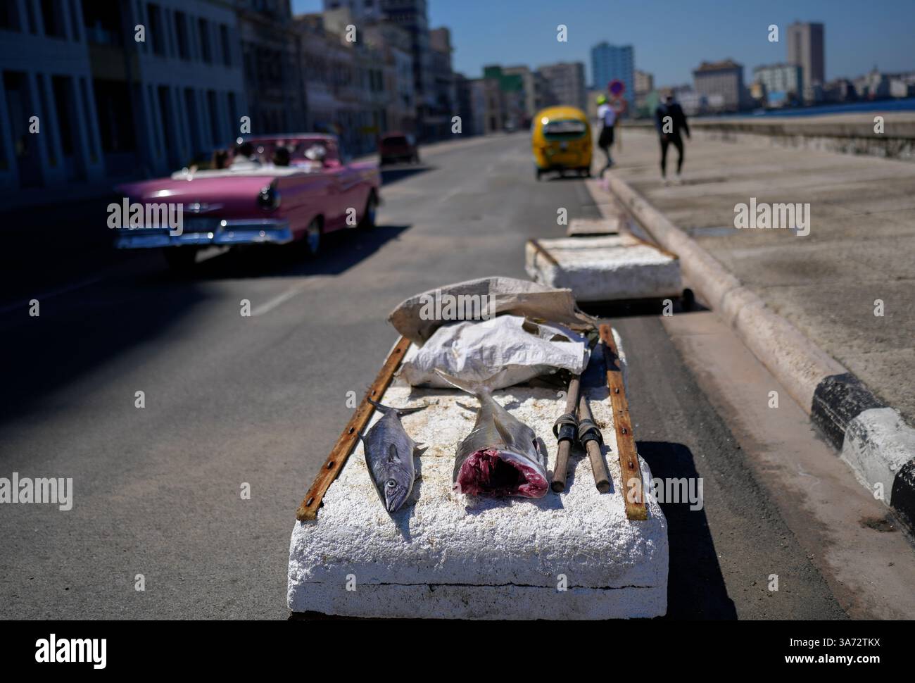 A fisherman's catch of the day lays on a makeshift "corcho" raft before ...