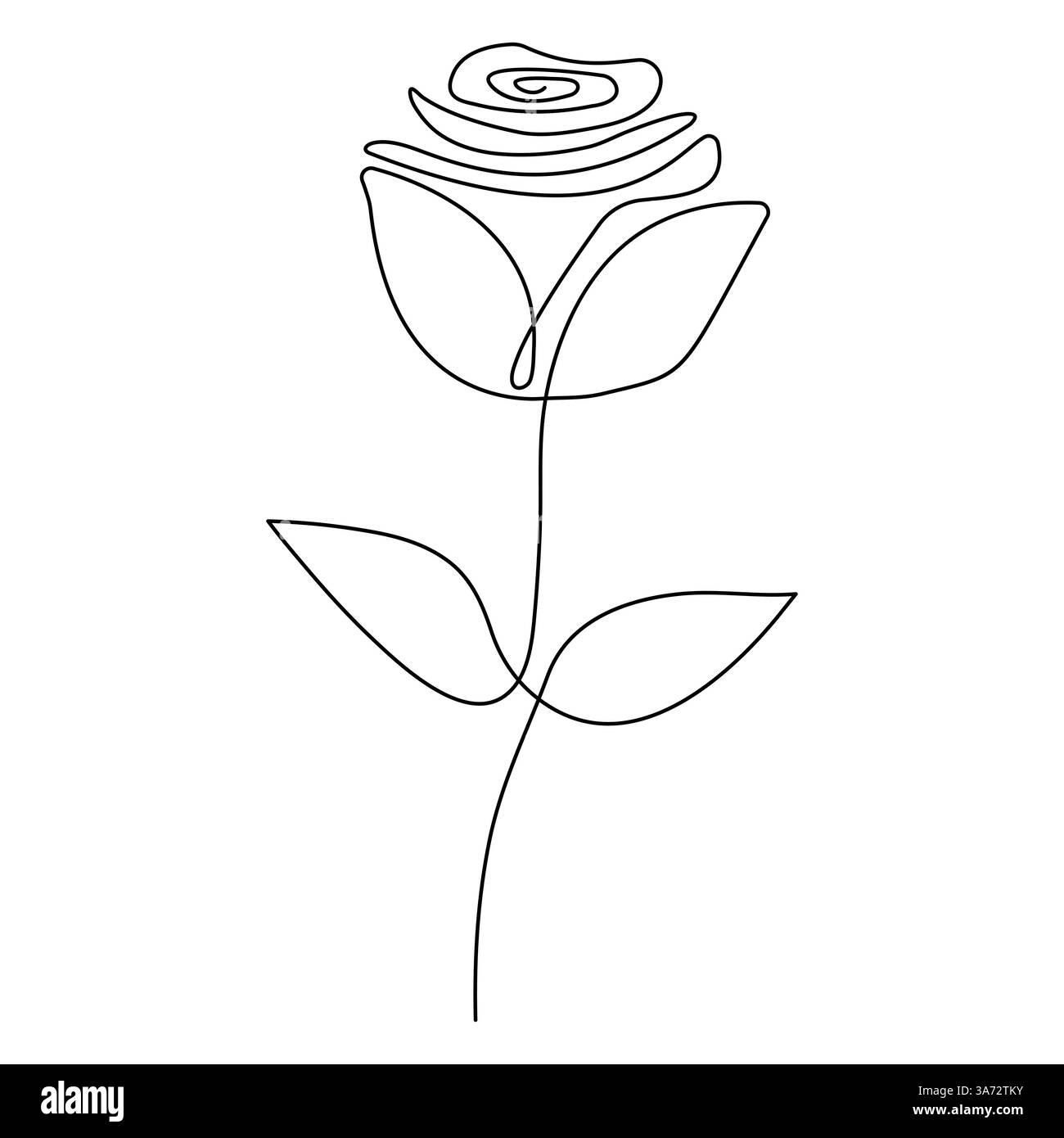 Rose flower continuous one line drawing of valentines day outline vector illustration Stock ...