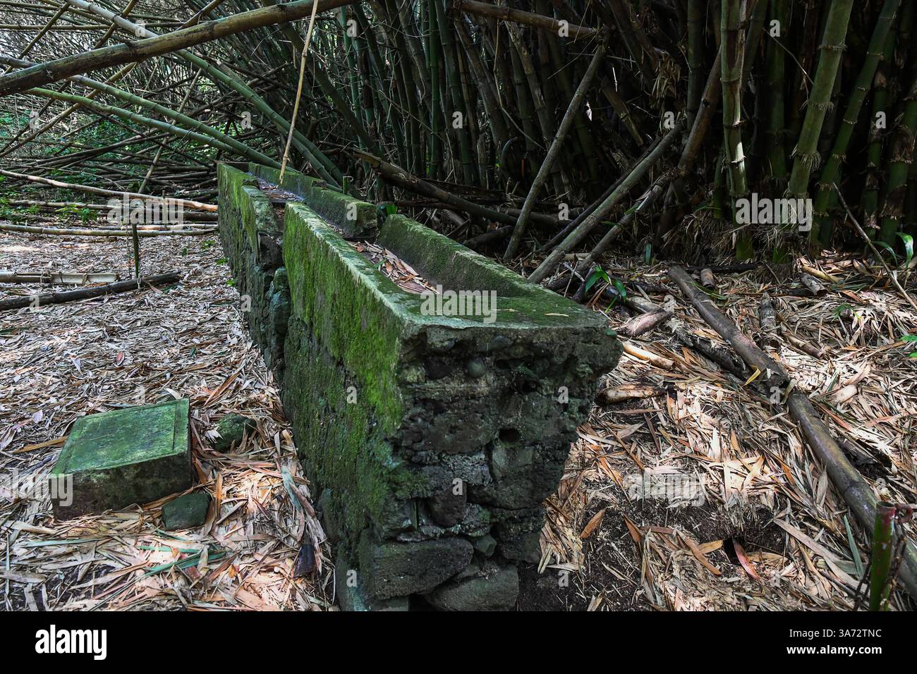 Limbe. 18th Mar, 2025. This photo taken on March 18, 2025 shows a ...
