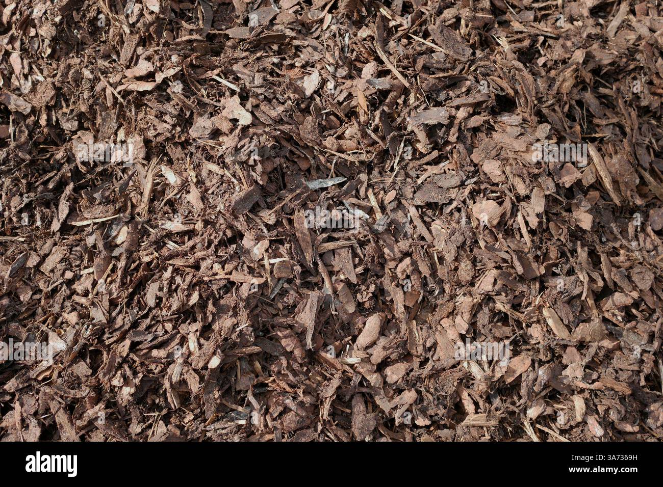 Bark mulch background texture close up. Natural fertilizer made of ...